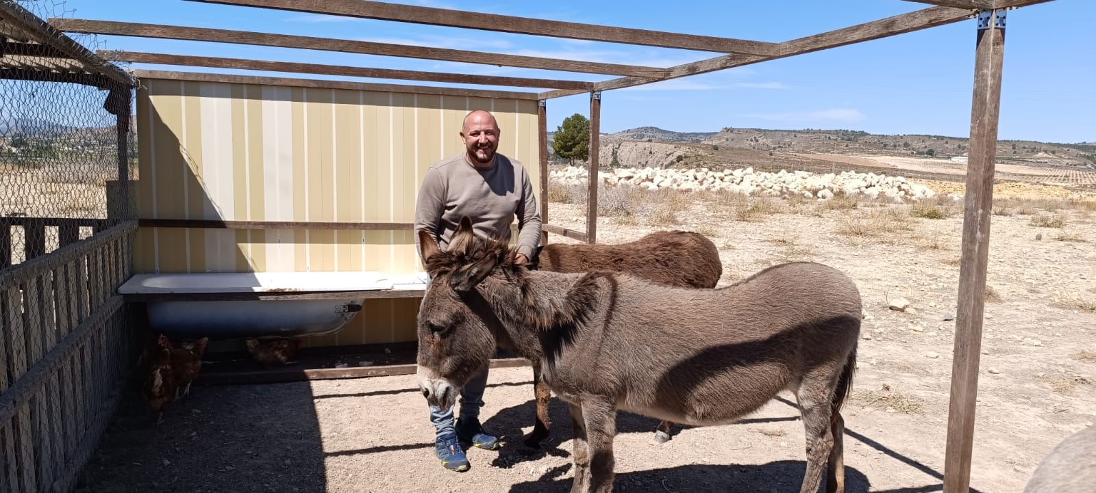 Protectora VIDA | Animal Respect